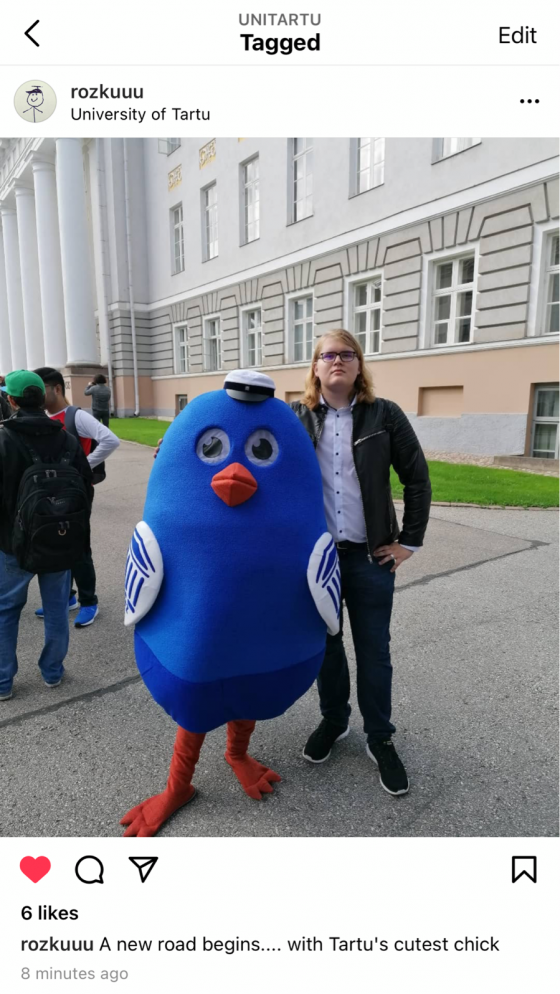 When the university mascot becomes a theme for memes - UT BlogUT Blog